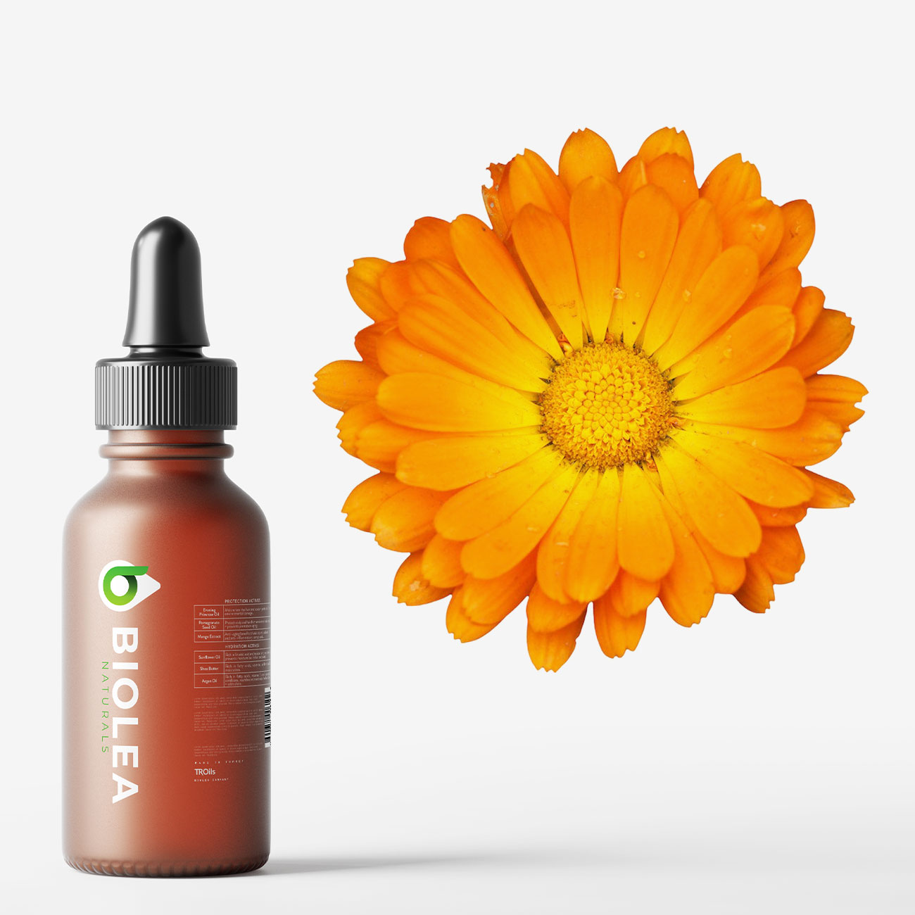 Biolea | Tr Oils | Calendula Oil